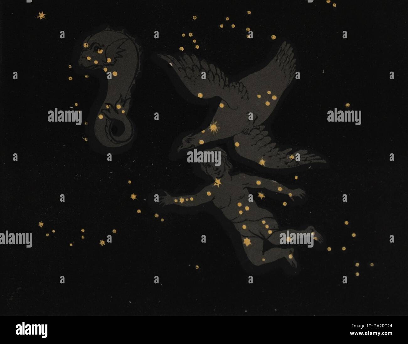 Aquila - Antinous, Constellations eagle, no. XXXVII, after p. 68, 1842 ...