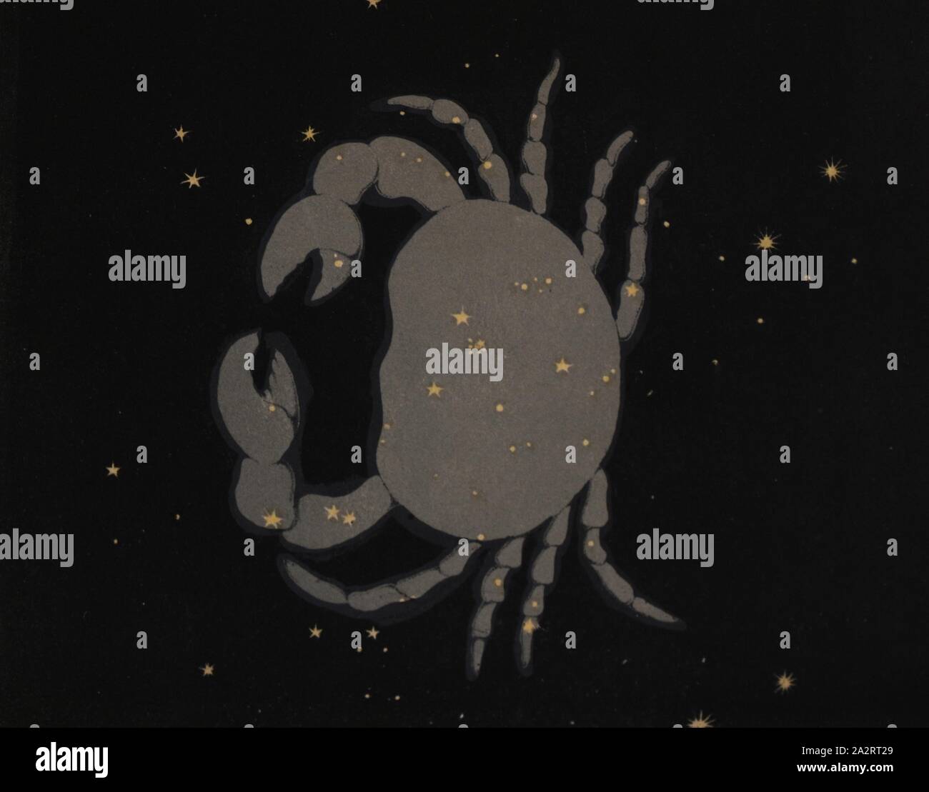 Cancer constellation hi-res stock photography and images - Alamy