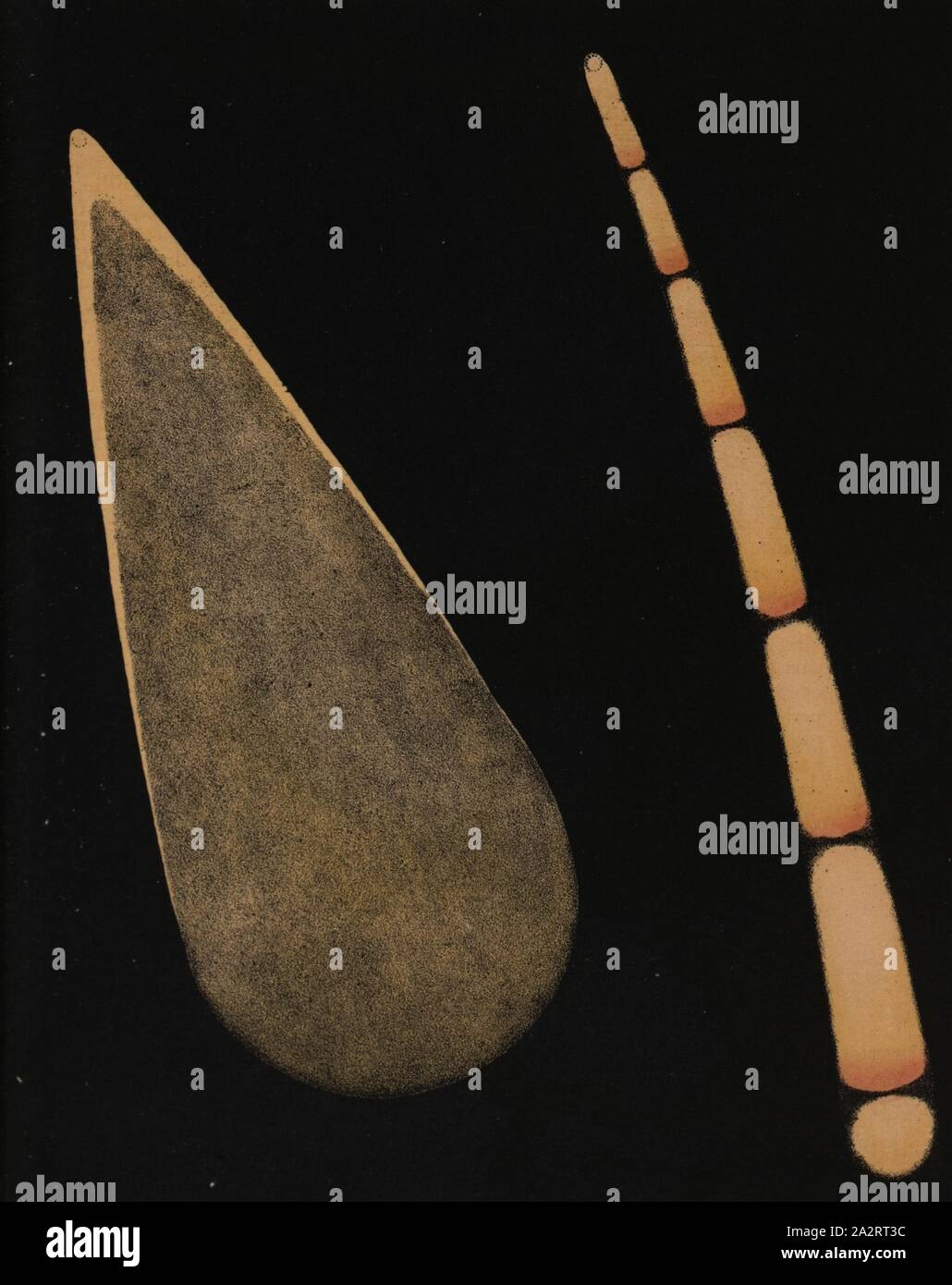 Cometes, Comet of 1680 and 1811, no. LXX, after p. 86, 1842, Charles F ...