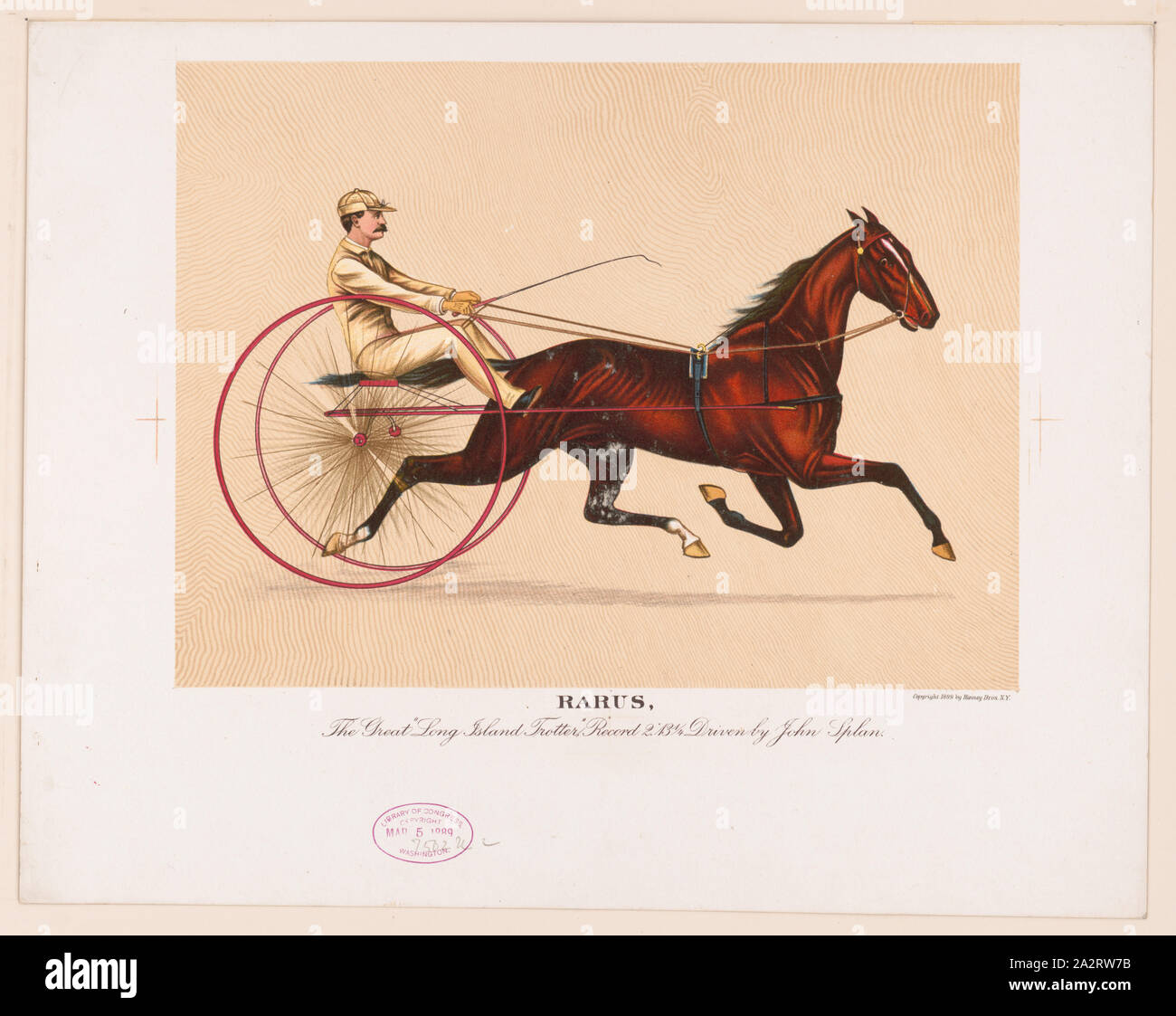 Rarus hi-res stock photography and images - Alamy