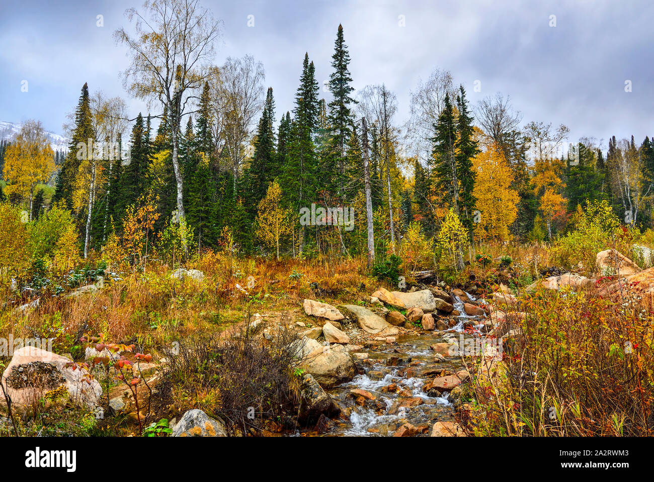 First snowfall in October mountain forest with creek, streaming between ...
