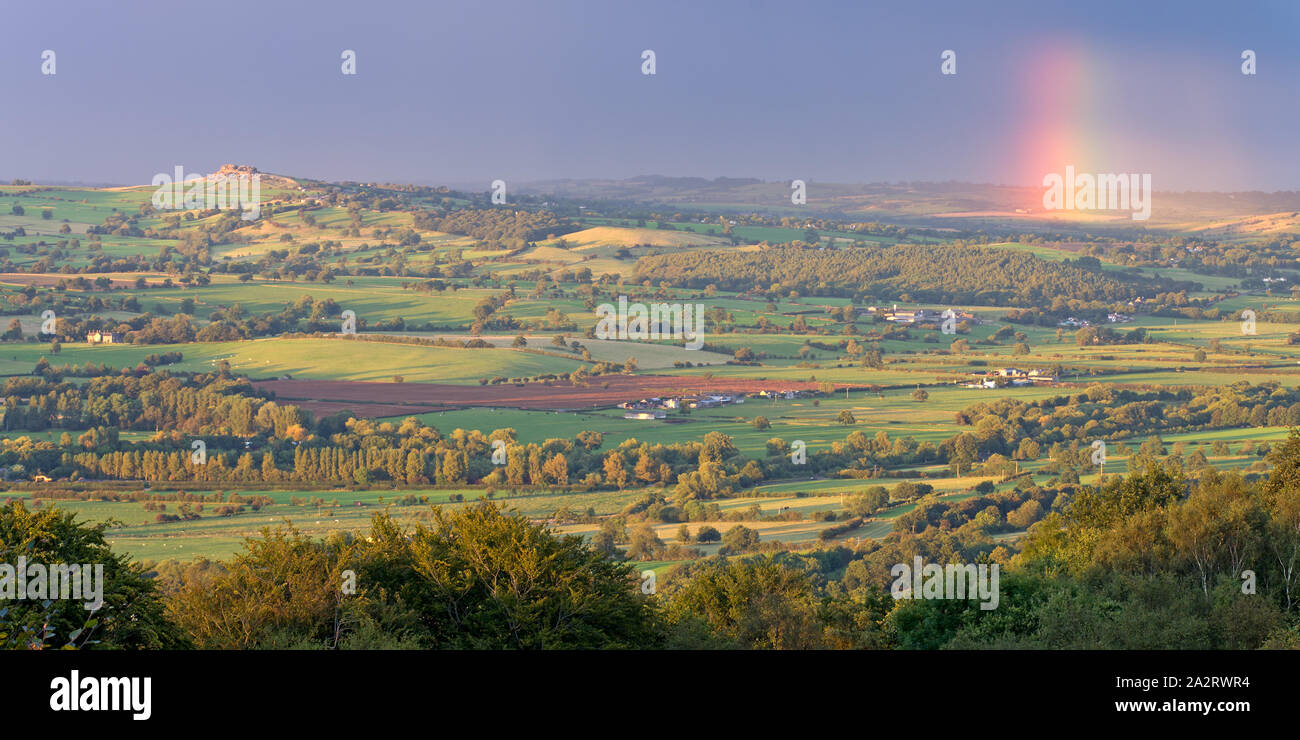 Golden showers hi-res stock photography and images - Alamy