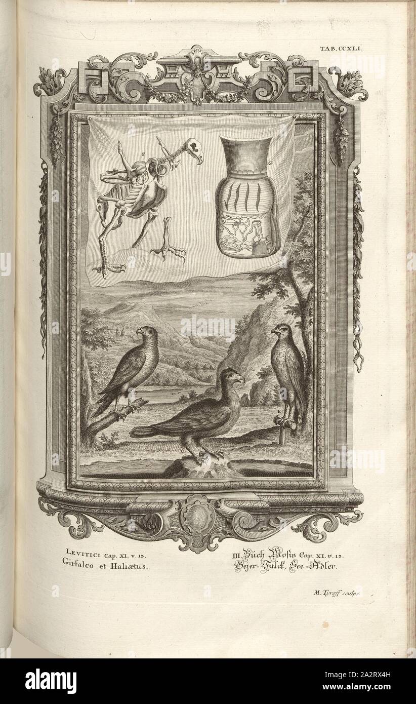 Gejer falck hi-res stock photography and images - Alamy