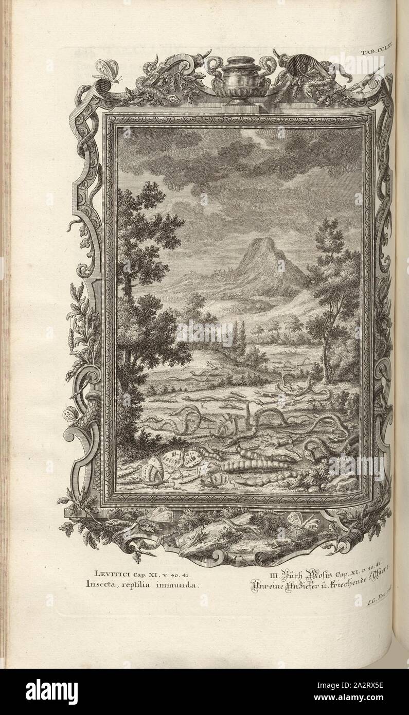 Reptiles unclean hi-res stock photography and images - Alamy