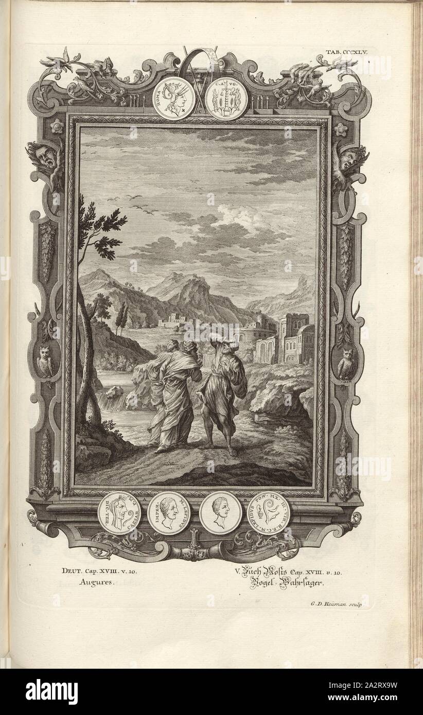 Augurs bird hi-res stock photography and images - Alamy