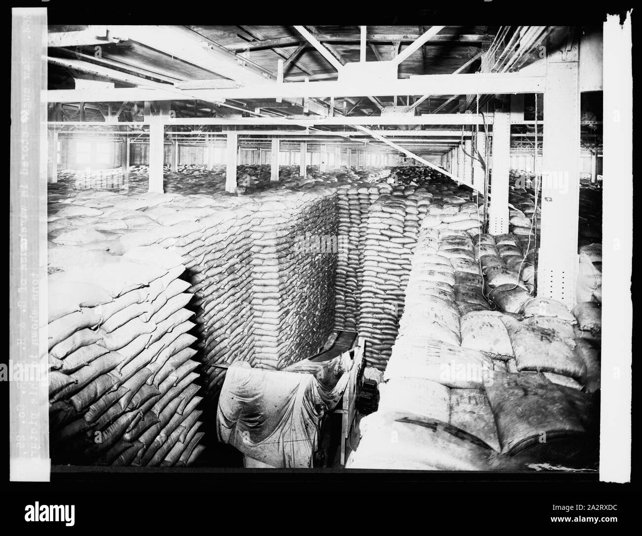 Raw sugar stored in warehouse of C. & H.S.R. Co. 25000 tons shown in ...