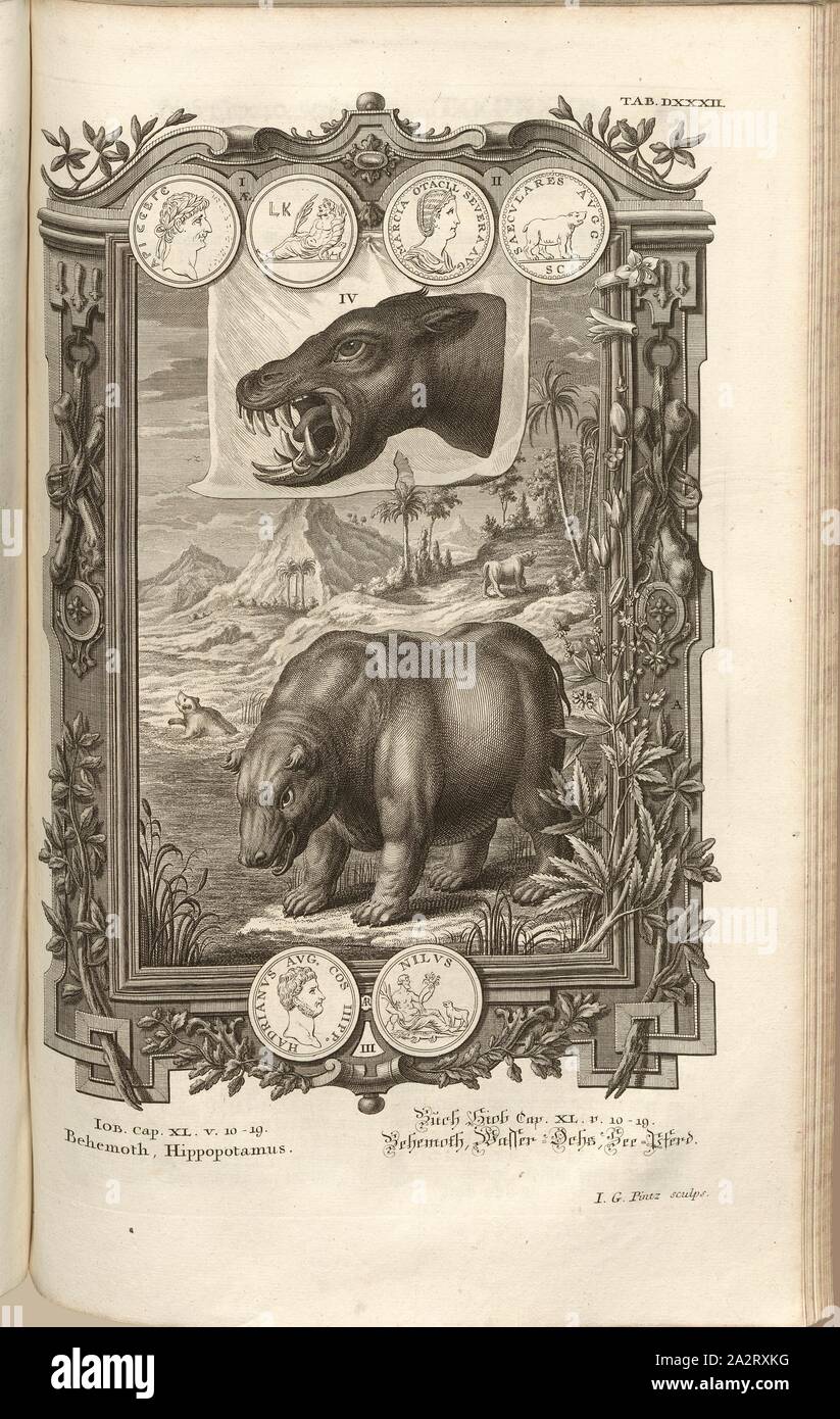 Behemoth, Hippopotamus, Parallel Title: Behemoth, Water-Ox, Sea-Horse ...