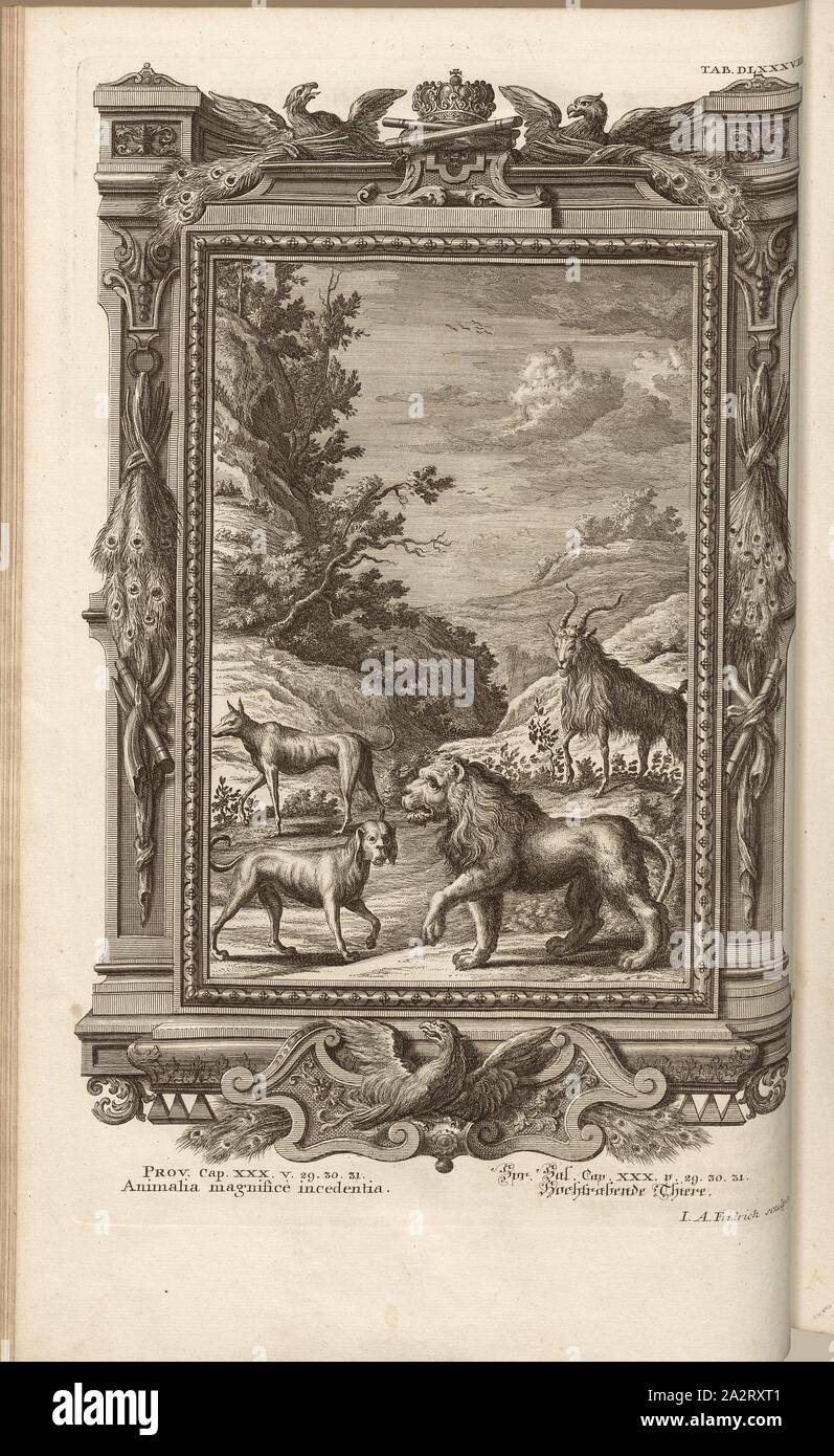 Magnificently moving animals hi-res stock photography and images - Alamy