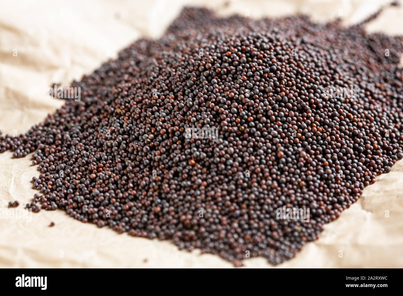 mustard seeds on paper Stock Photo - Alamy