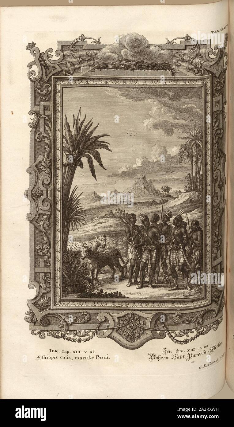 Pardels hi-res stock photography and images - Alamy