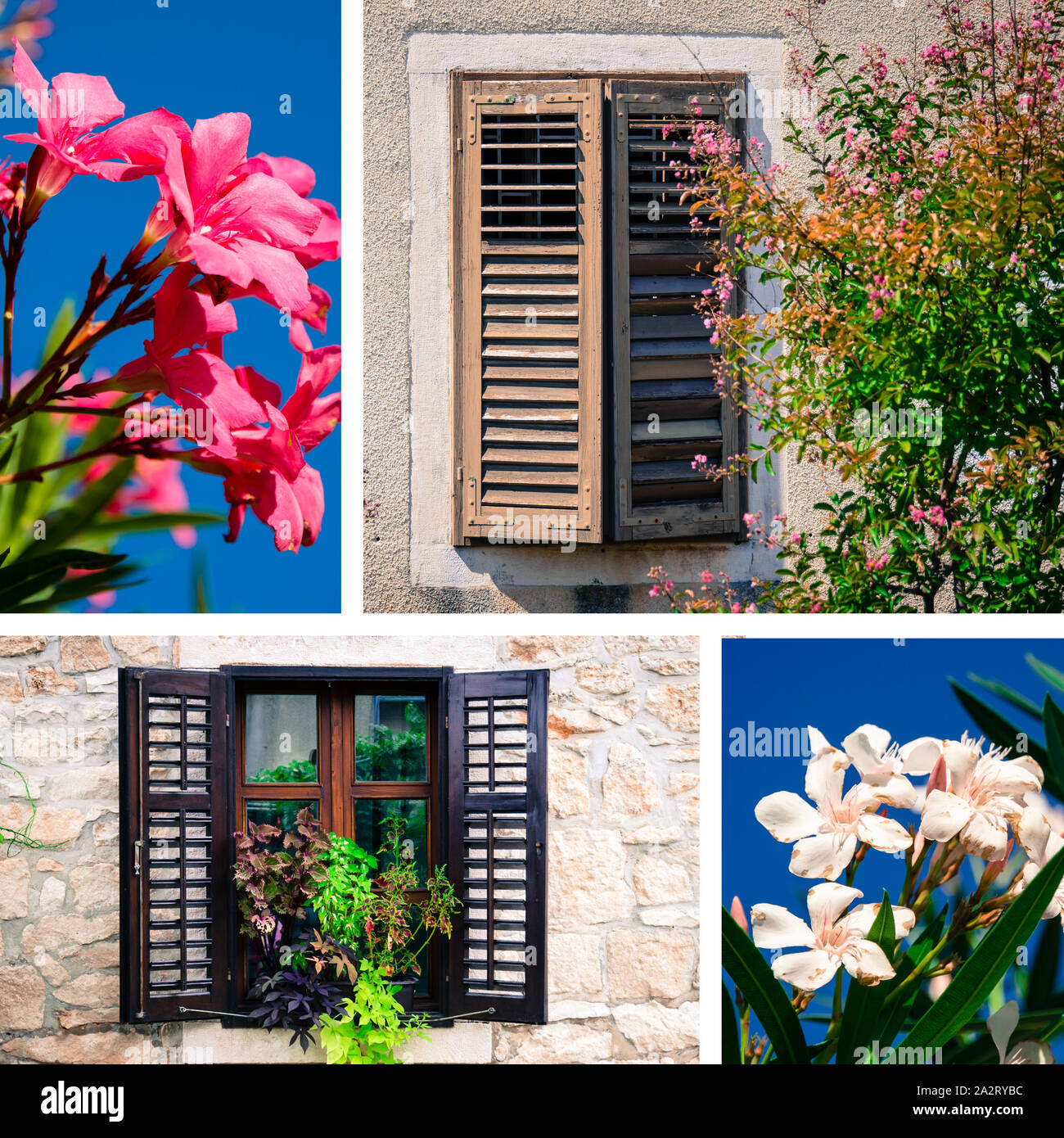 collage from croatian windows and oleander flower Stock Photo - Alamy