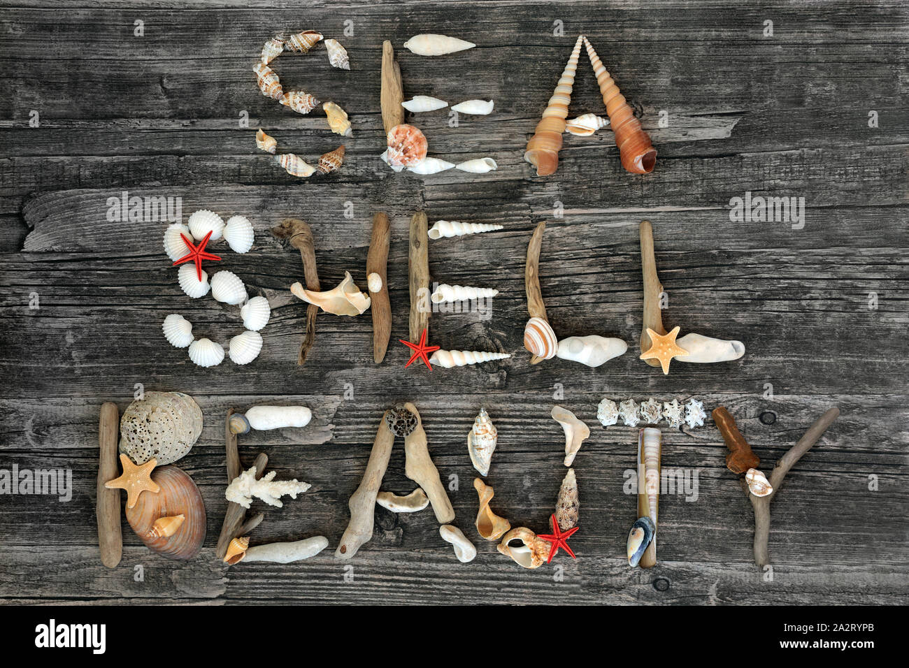 Abstract of seashells, driftwood and pebbles forming the words sea ...