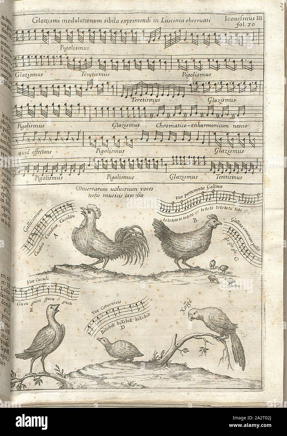 17th century music hi-res stock photography and images - Alamy