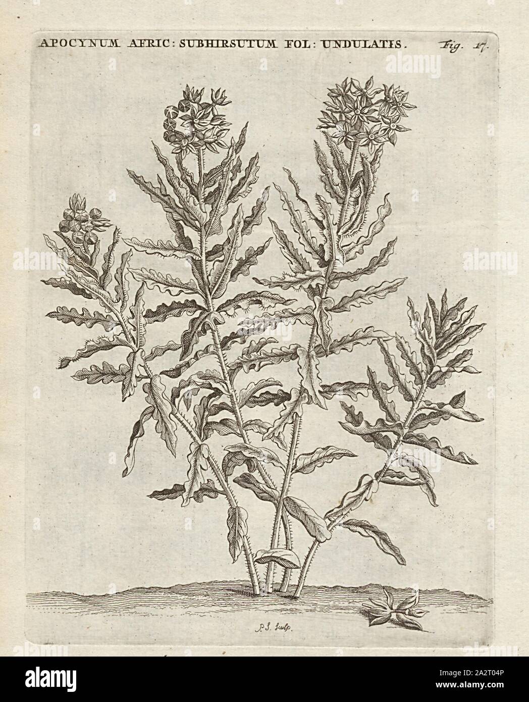 Wavy leaves hi-res stock photography and images - Alamy