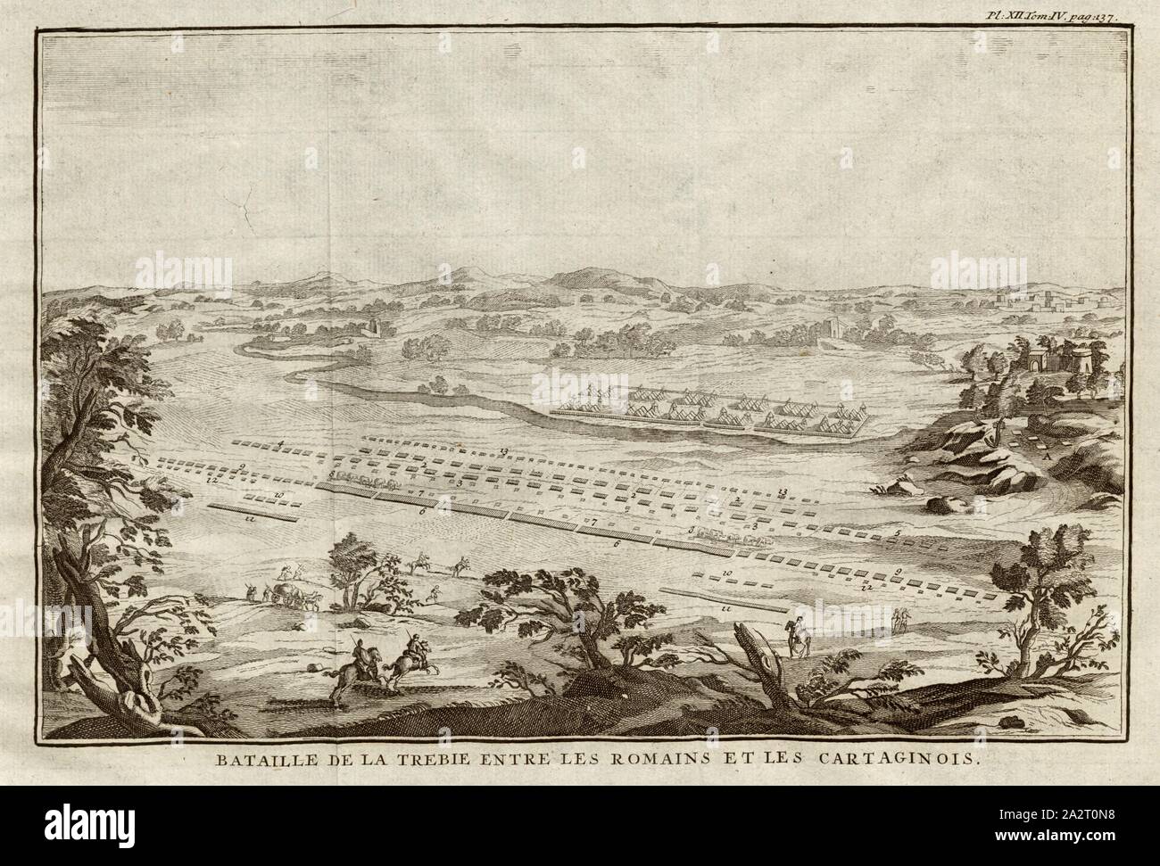 Trebia hi-res stock photography and images - Alamy