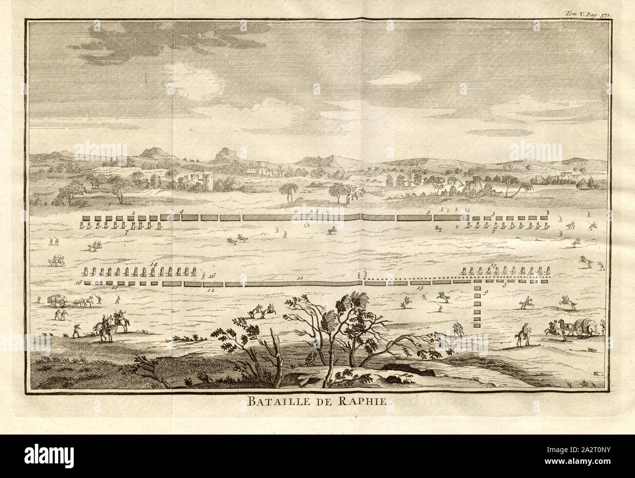 Raphie hi-res stock photography and images - Alamy