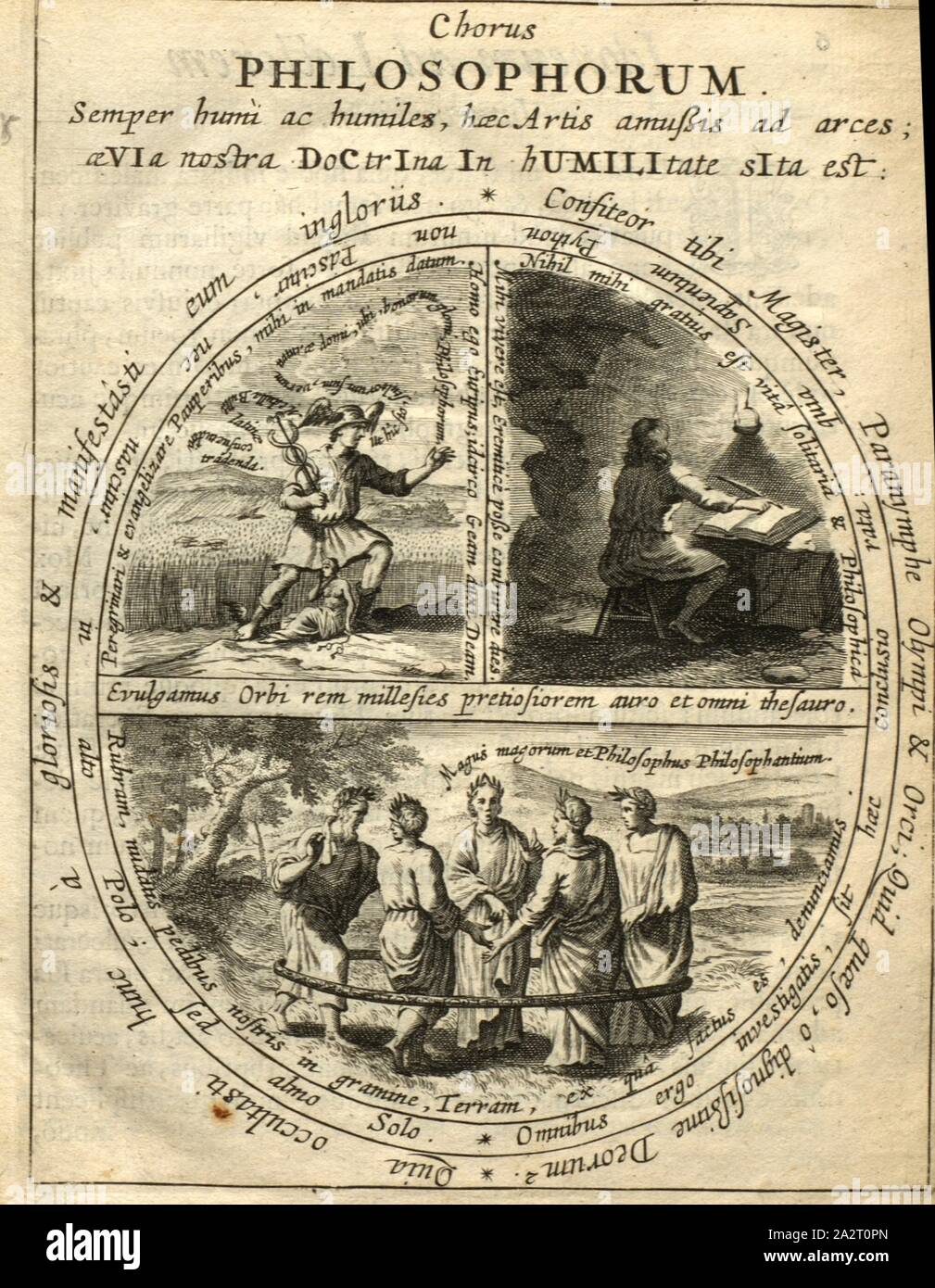 Semper humi ac humilis hi-res stock photography and images - Alamy