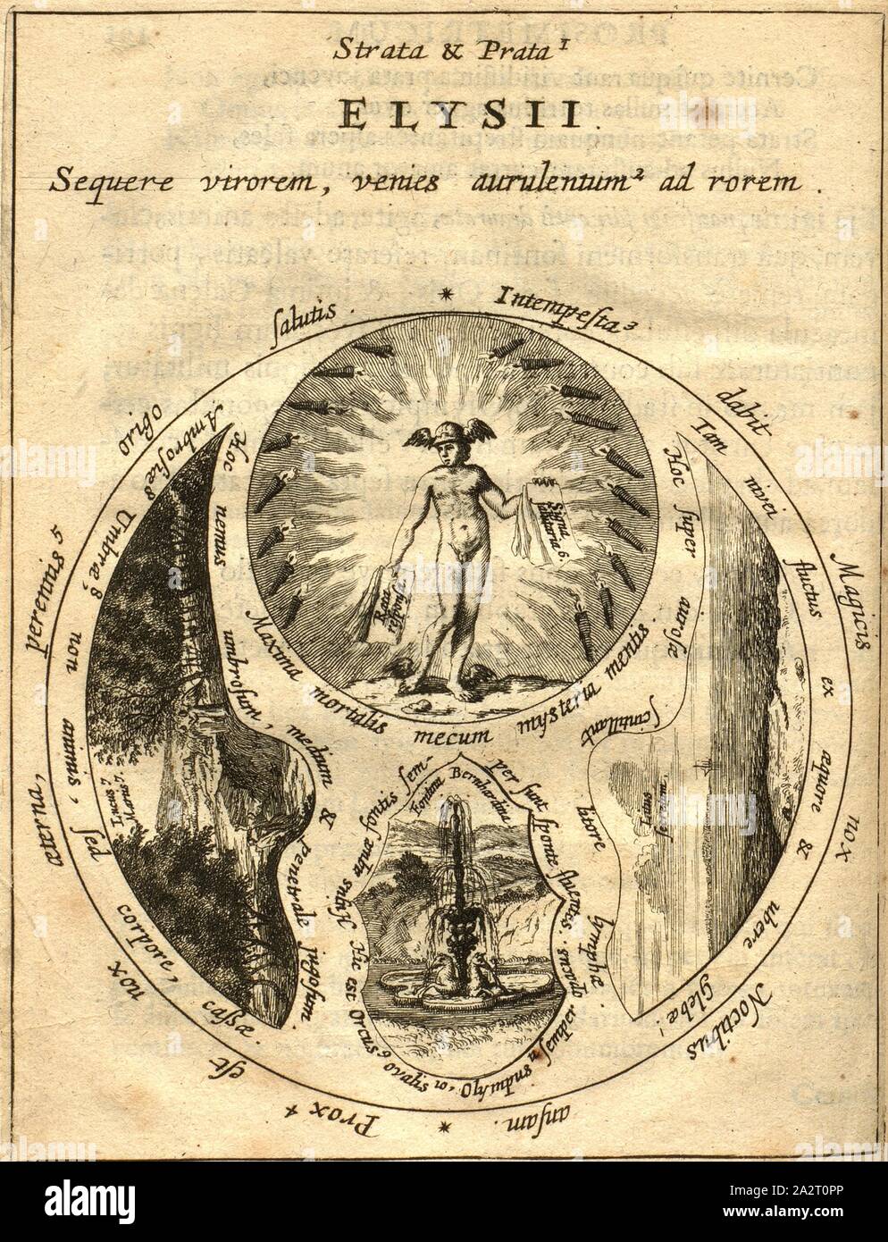 Sequere virorem hi-res stock photography and images - Alamy