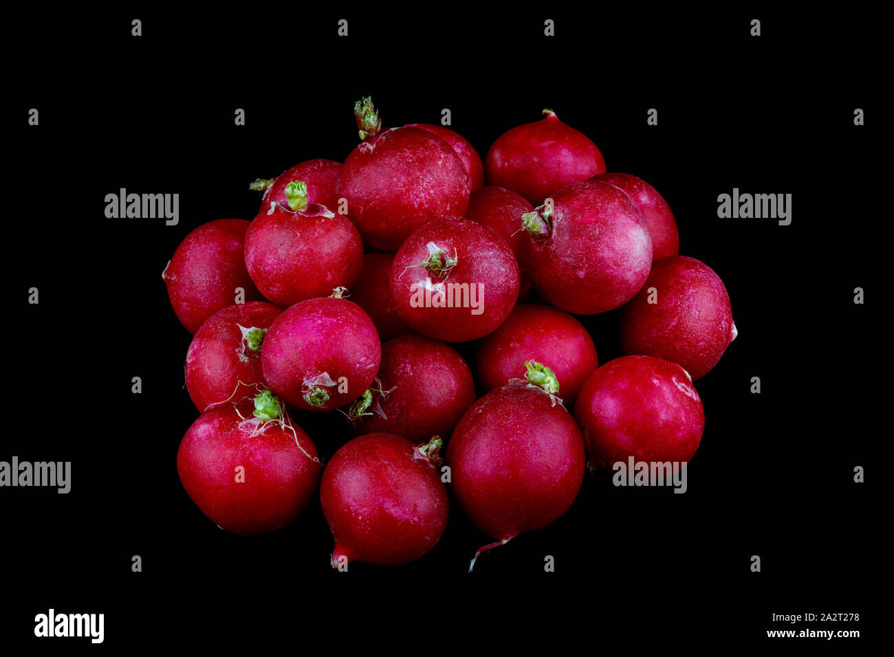 Small red radishes isolated against a black background Stock Photo - Alamy