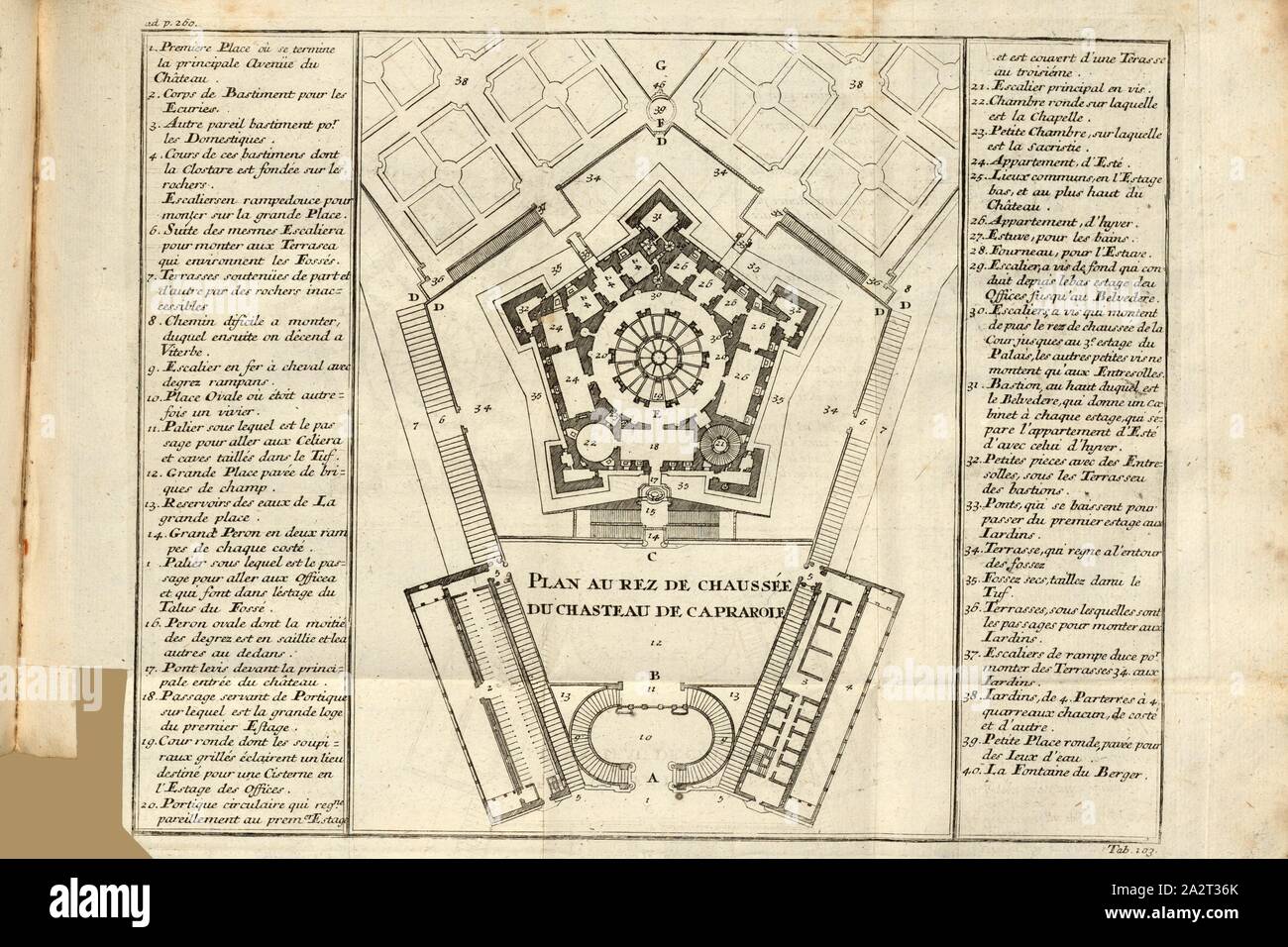 Villa Farnese Plan