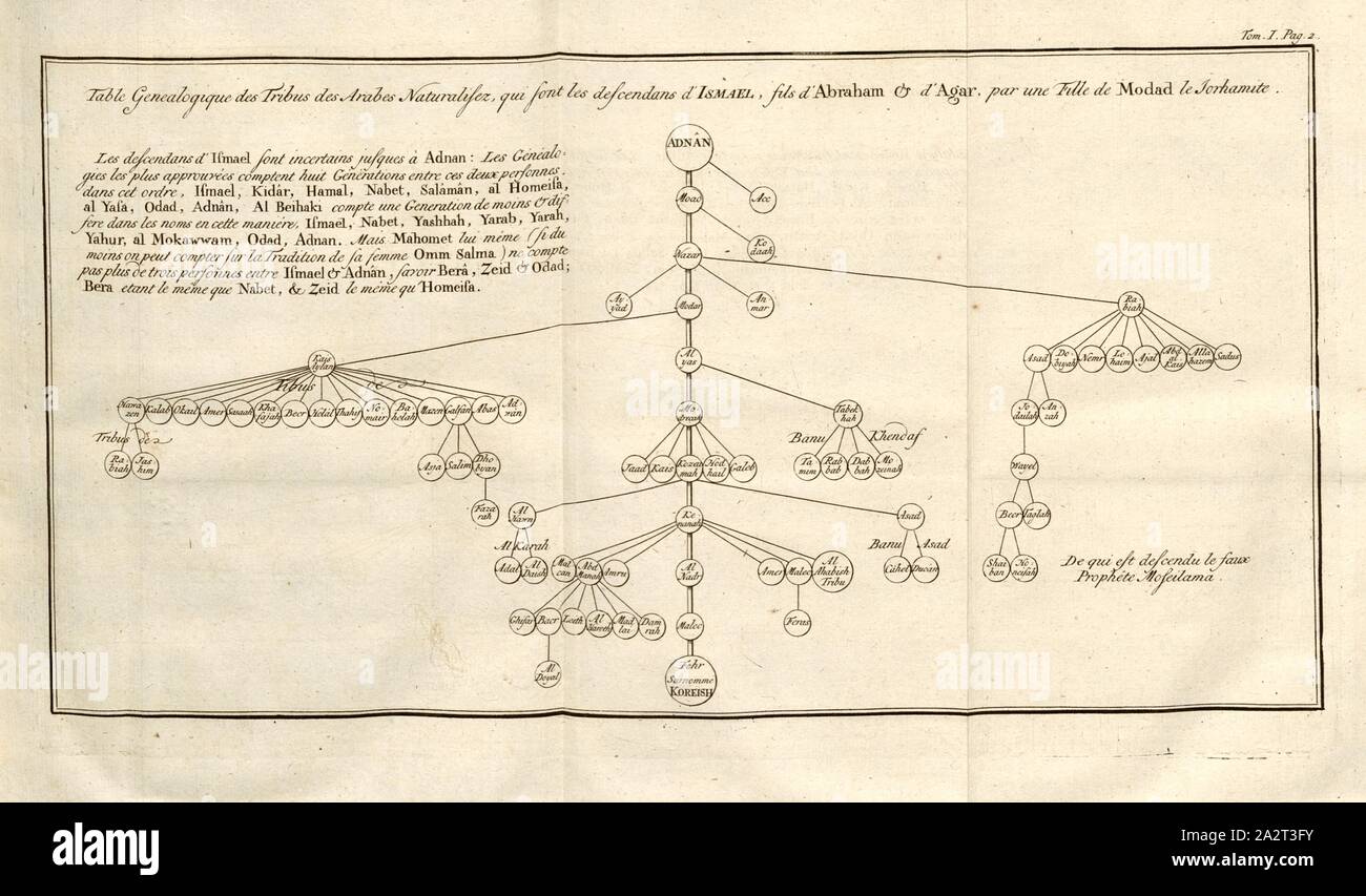Genealogical Table of the Tribes of the Arabs Naturalize, who are the ...
