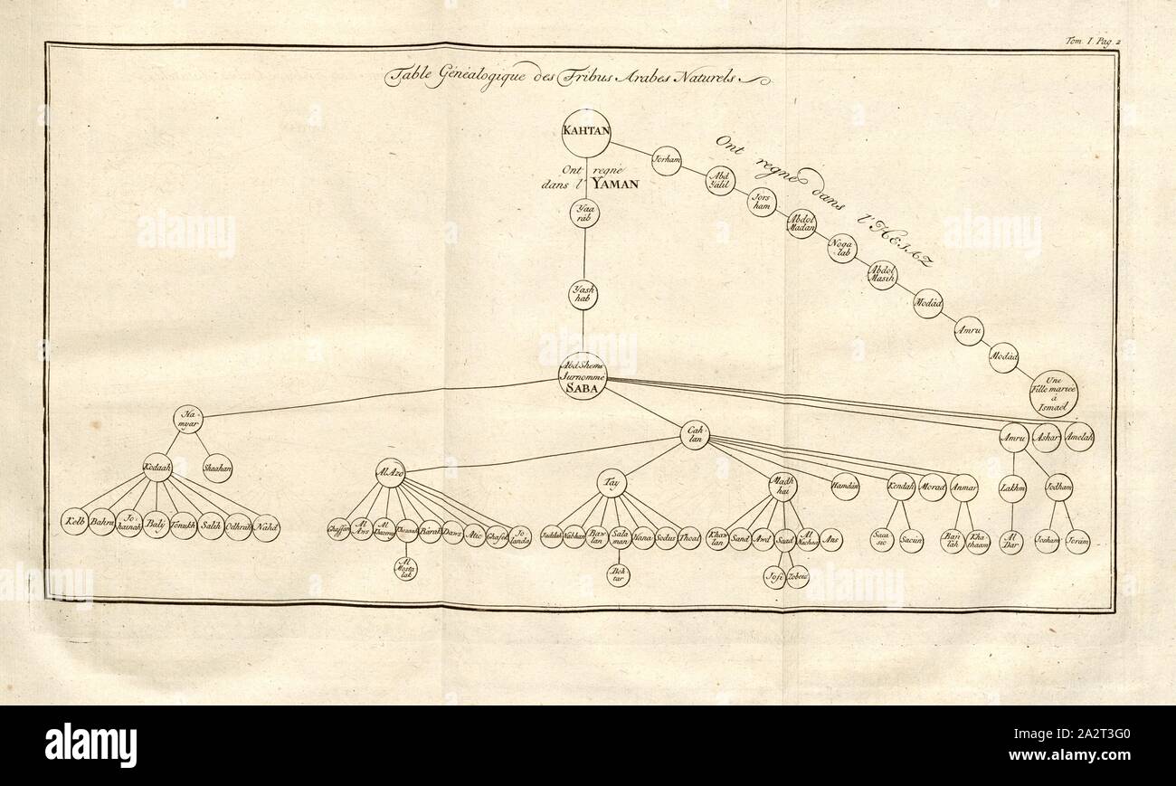 Genealogical Table of the Natural Arab Tribes, Family tree of Arabian ...