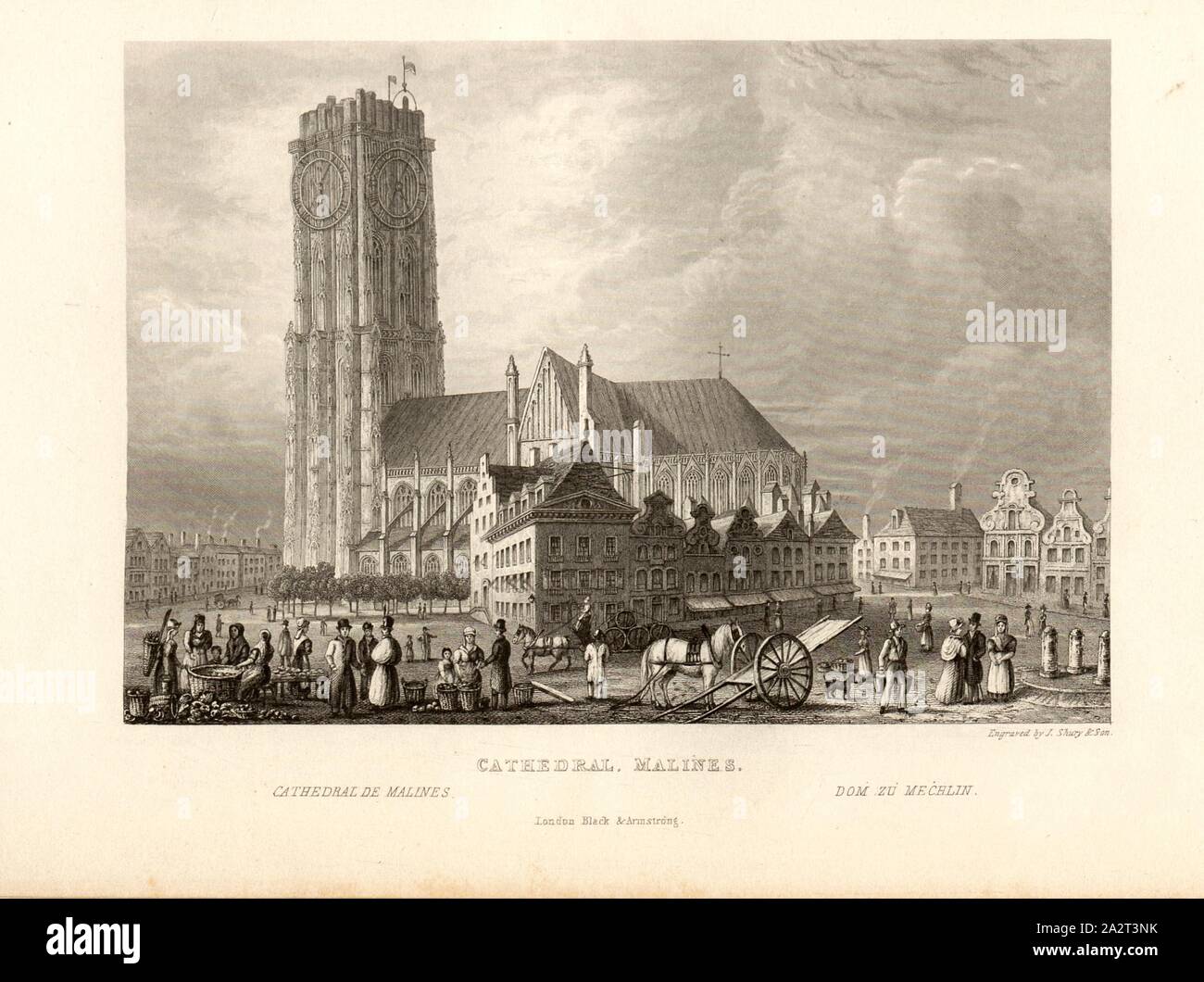 Cathedral Malines, View of Dom, Mechelin, p. 47, Shury & Son (eng ...