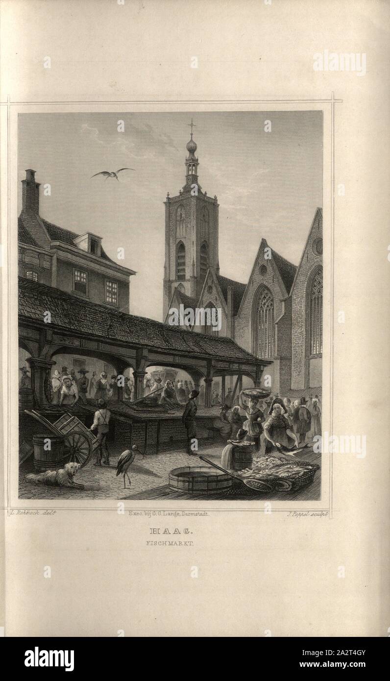 Hague. fish market, Fish Market in The Hague, signed: L. Rohbock (del ...