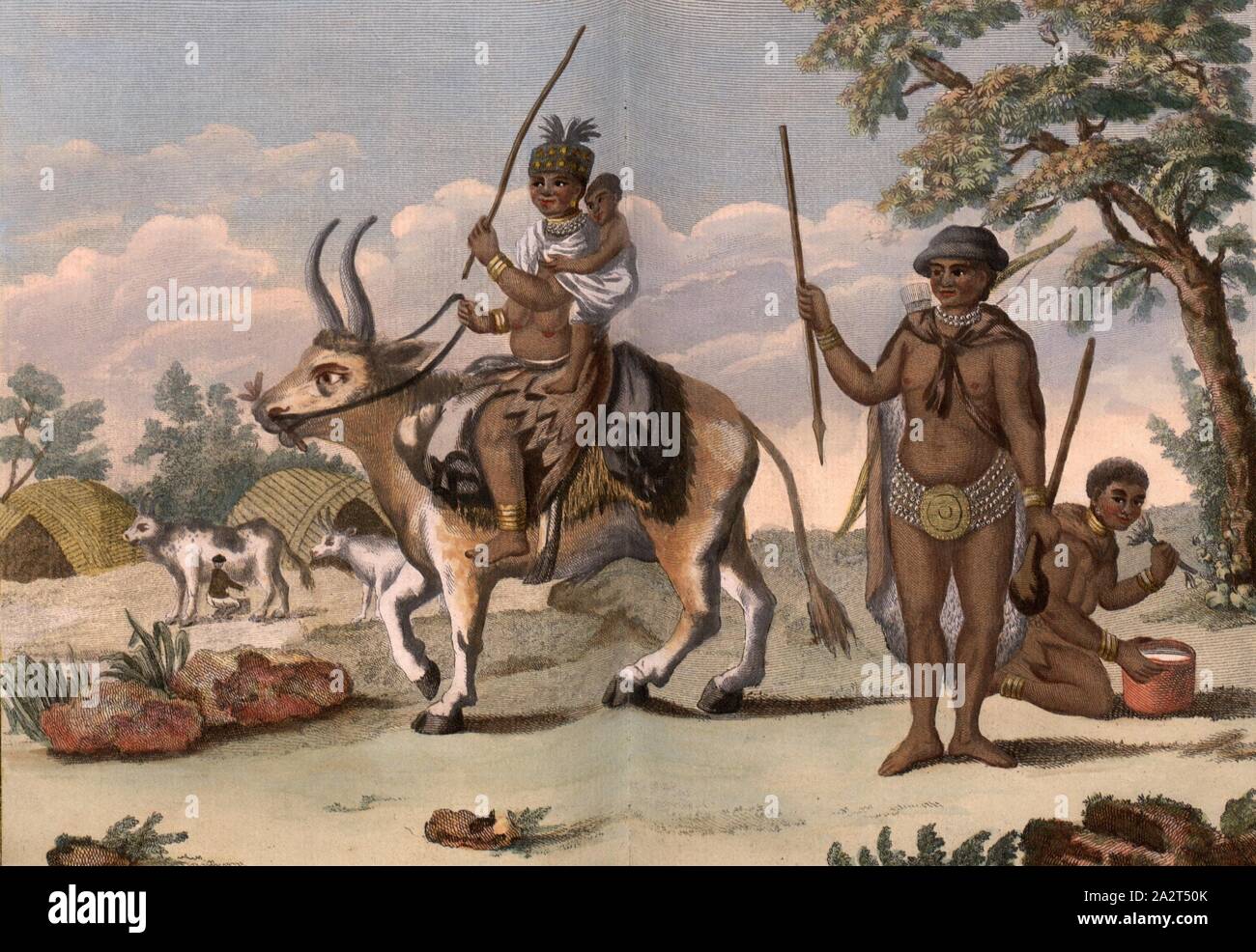 Hottentots, Lifestyle, clothing, hunting instruments, livestock and ...