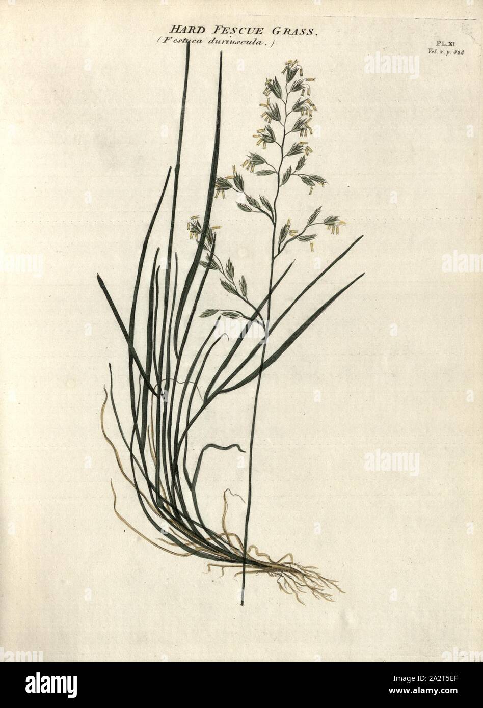 828 hi-res stock photography and images - Alamy