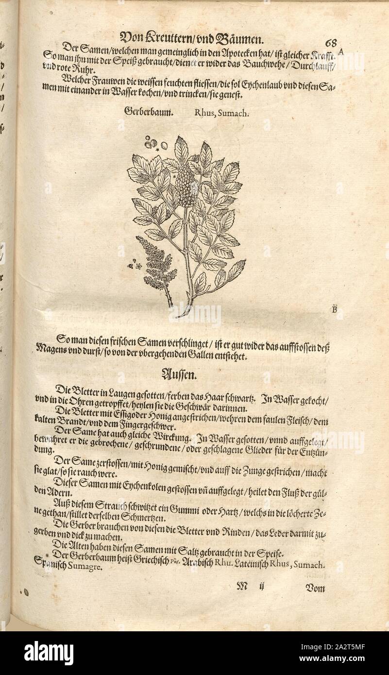 Fol 68r hi-res stock photography and images - Alamy