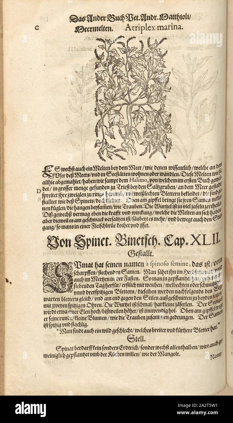 Fol 138v hi-res stock photography and images - Alamy
