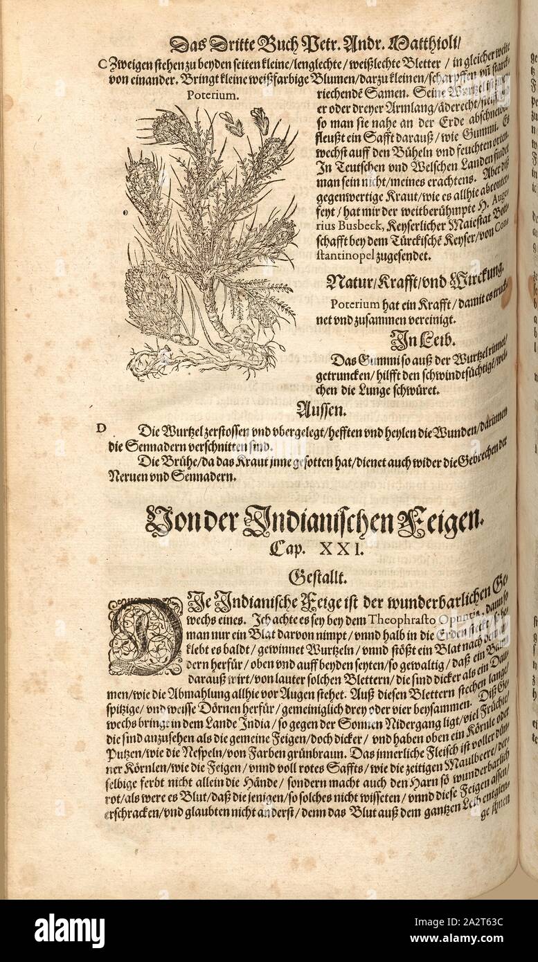 229r hi-res stock photography and images - Alamy