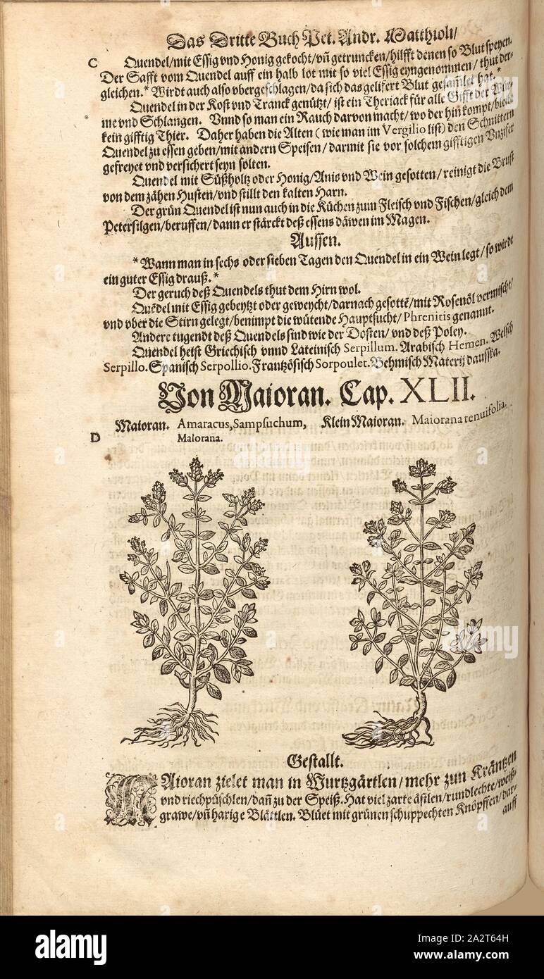 Sampsuchum hi-res stock photography and images - Alamy