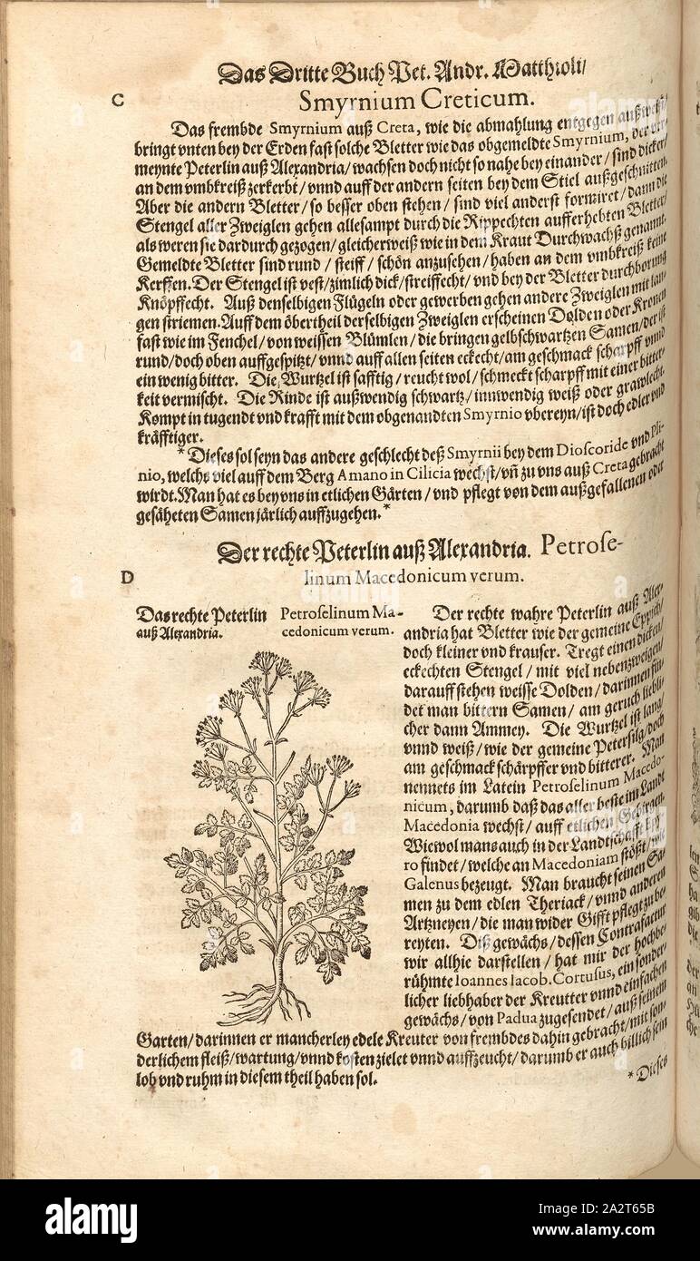 Peterlin hi-res stock photography and images - Alamy