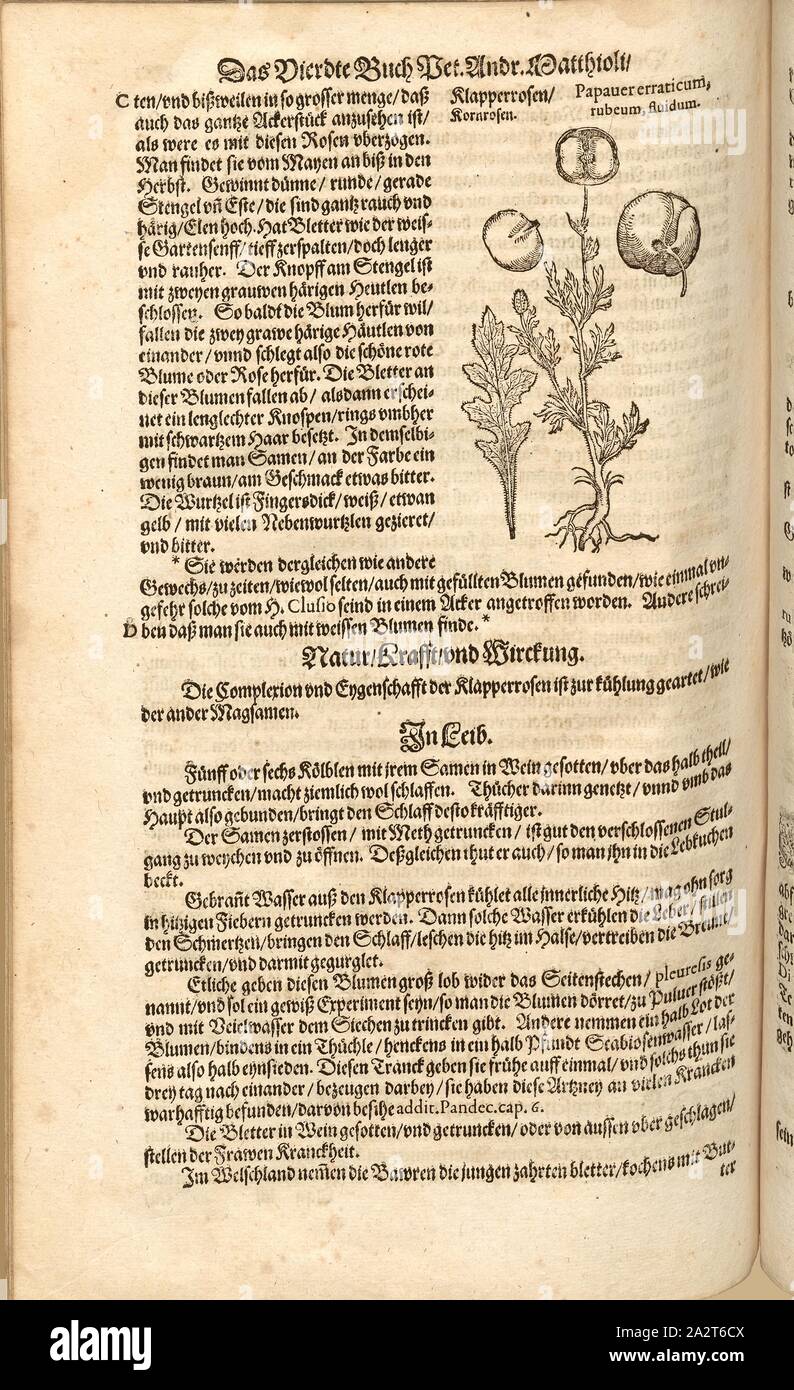 Fol 370v hi-res stock photography and images - Alamy