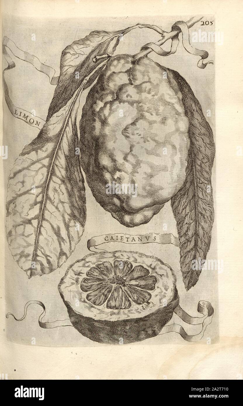 Limon gaetano hi-res stock photography and images - Alamy