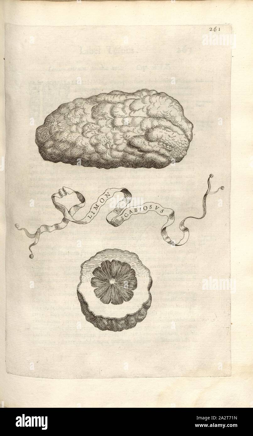 Cultura 47 hi-res stock photography and images - Alamy