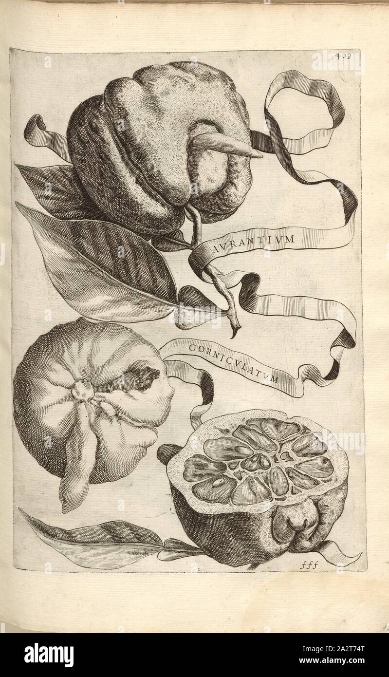 407 hi-res stock photography and images - Alamy