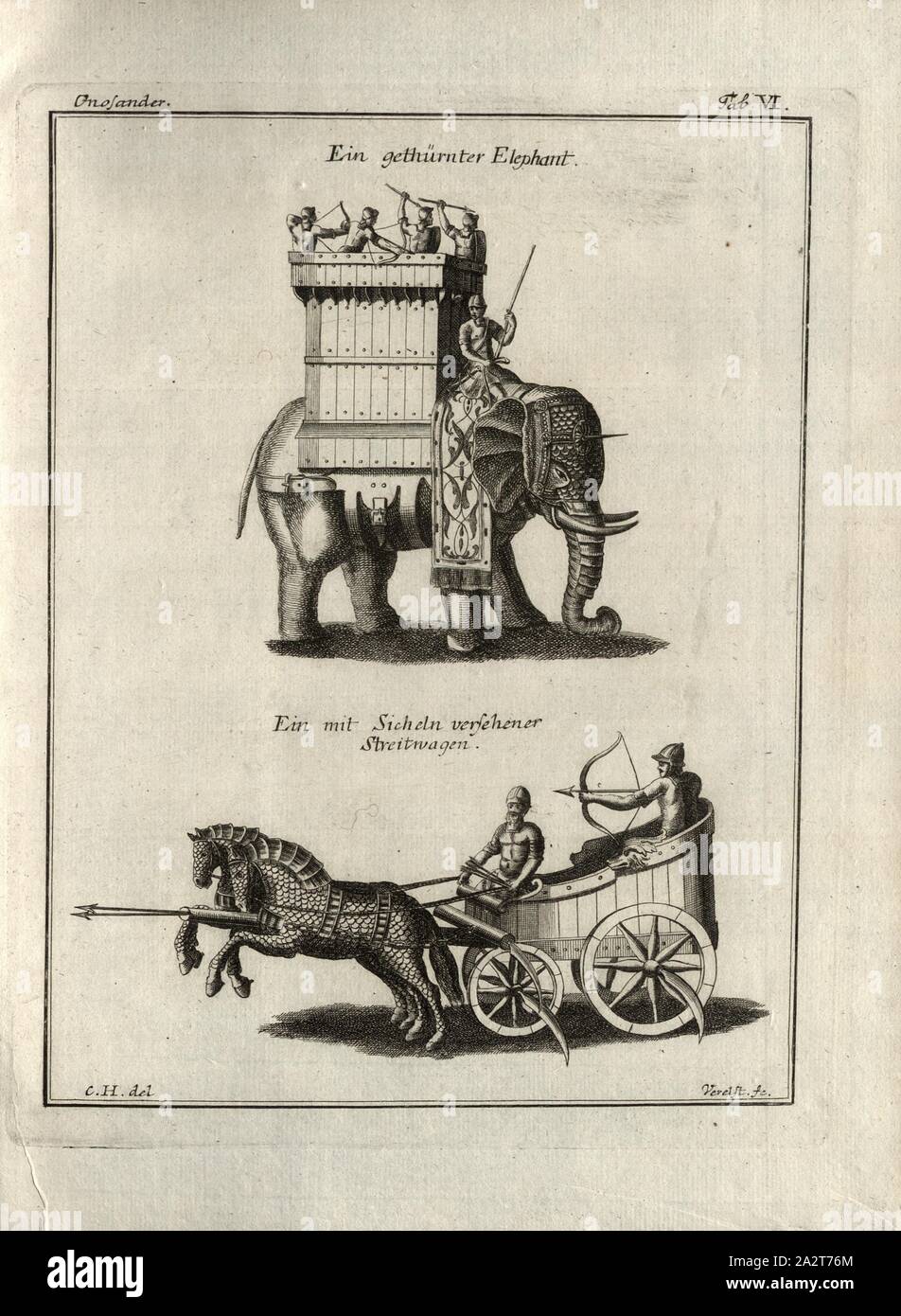 Sickle armed chariot onosander hi-res stock photography and images - Alamy