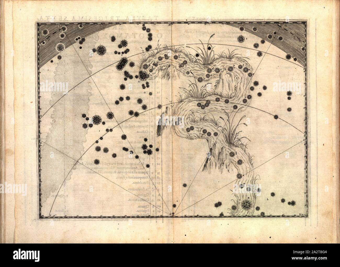 P 118 hi-res stock photography and images - Alamy