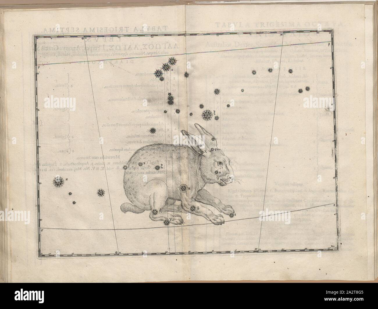 Lepus constellation hi-res stock photography and images - Alamy