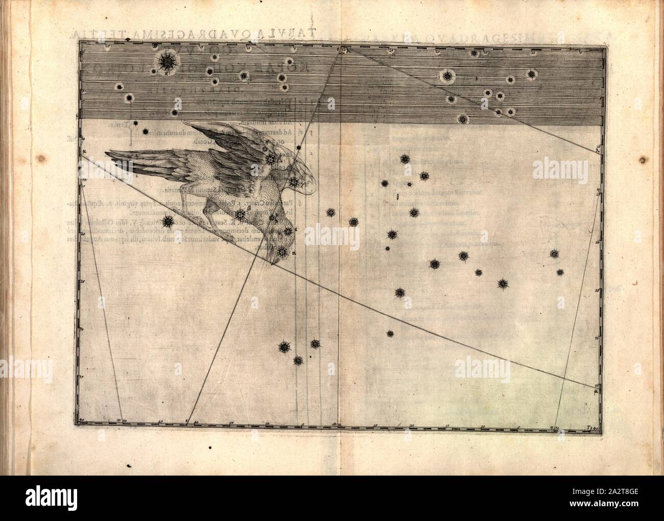 Constellation raven hi-res stock photography and images - Alamy