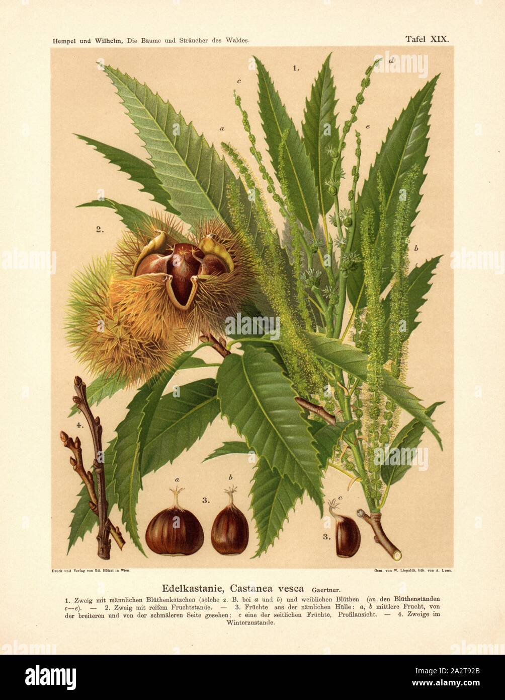 Gustav hempel hi-res stock photography and images - Alamy