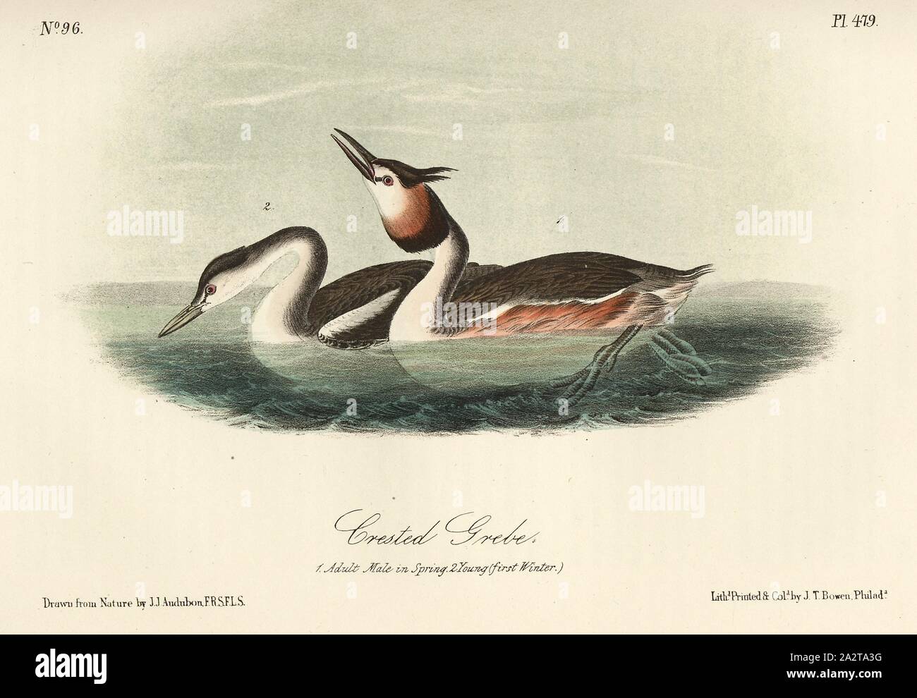 479 7 hi-res stock photography and images - Alamy