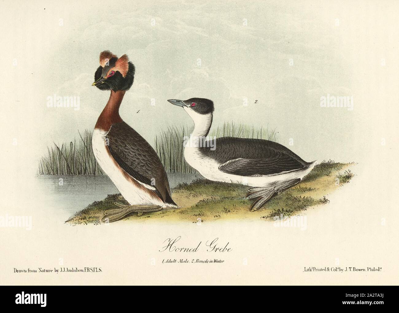 Pl 481 hi-res stock photography and images - Alamy