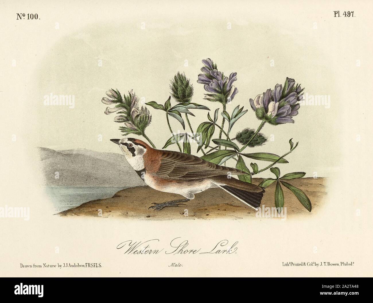 Aluda hi-res stock photography and images - Alamy