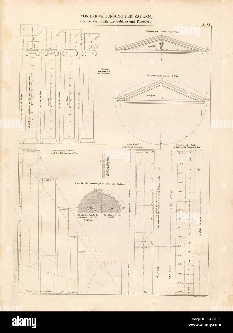 From the rejuvenation of the columns, from the relationship of the ...
