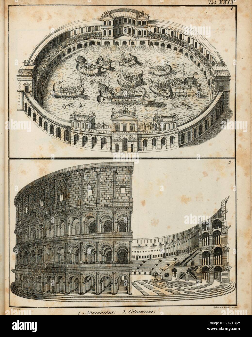 Amphitheater naumachia rome hi-res stock photography and images - Alamy