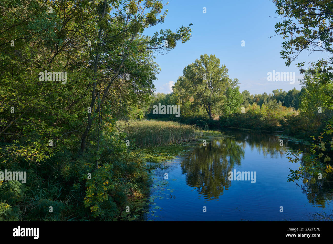 Beautiful small lake in the forest against blue sky. Amazing landscape ...